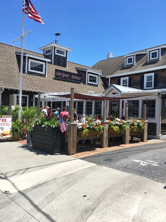 Summer in Delaware looks like this: colorful flowers, outdoor seating, and the promise of fresh seafood waiting just beyond those doors.