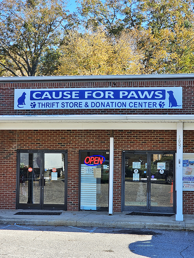 The welcoming entrance to Cause for Paws, where every purchase helps furry friends in need. Shopping with a purpose never looked so inviting.