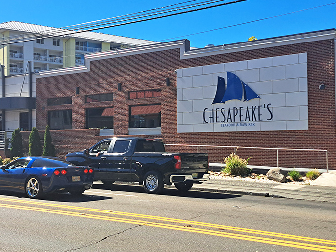 The exterior proudly announces its seafood mission to Gatlinburg. That blue marlin logo is like a promise written in neon.