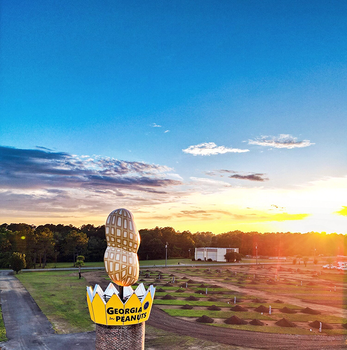 Golden hour transforms the monument into a silhouette against a watercolor sky. Even after seeing it all day, sunset offers a whole new perspective.
