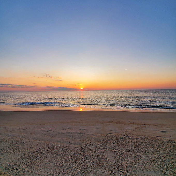 Sunset paints the beach in colors that make every smartphone photographer suddenly believe they're Ansel Adams reincarnated.