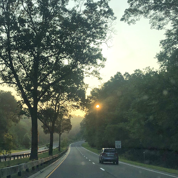 Golden hour magic transforms the ordinary into the extraordinary as day bids farewell along the Merritt.