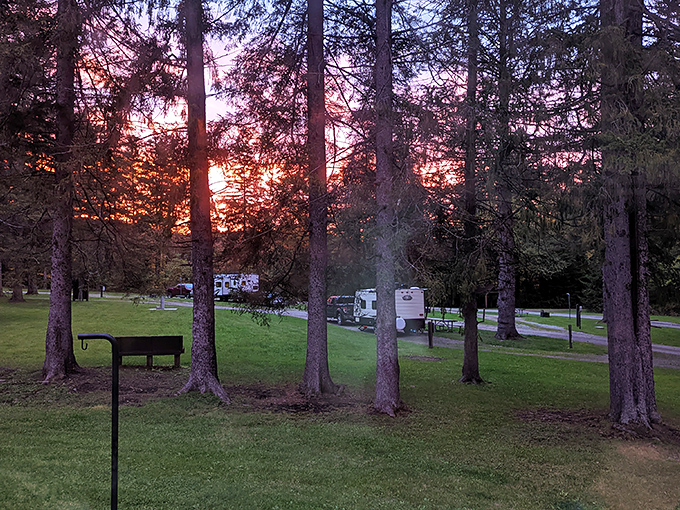 Sunset through the pines turns an ordinary campground into something worth putting down your phone to actually witness properly.