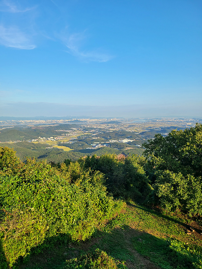 The Ozarks unfold like nature's quilt from this vantage point, reminding us why people choose mountains over skyscrapers.