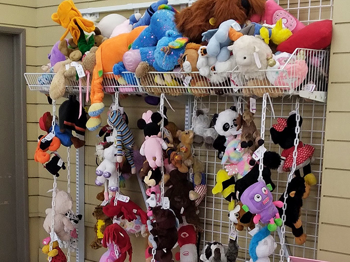 Stuffed animal adoption center, where forgotten teddy bears and plush pals await their forever homes.