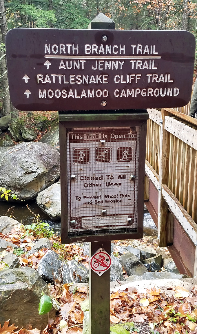 Trail signs pointing to destinations like "Rattlesnake Cliff" and "Aunt Jenny" prove Vermont has excellent naming committees. 