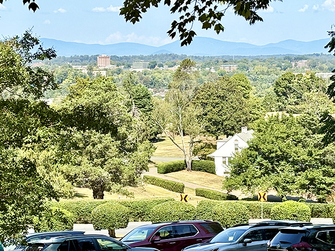 Mountain views that pair perfectly with fried chicken, like a colonial-era wine pairing.