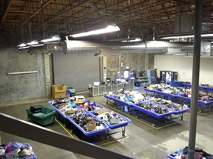 The eagle's view of treasure island. From this vantage point, you can strategize your approach to the most promising blue bin territories.