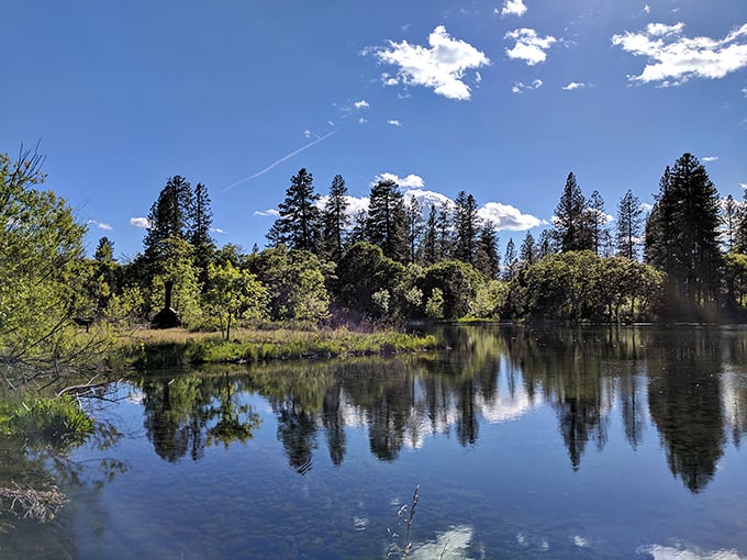 The ultimate screen saver comes to life&mdash;where sky meets water in a reflection so perfect you'll question which way is up.