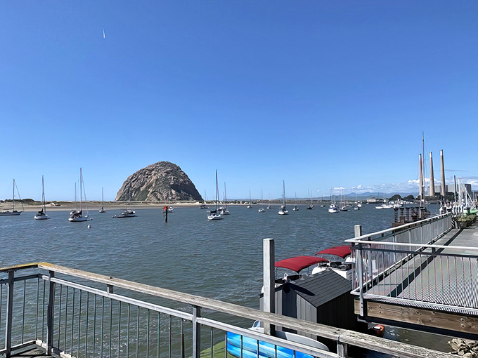 Morro Rock stands guard over the bay like a culinary bouncer ensuring only the freshest seafood makes it to your plate at Tognazzini's.