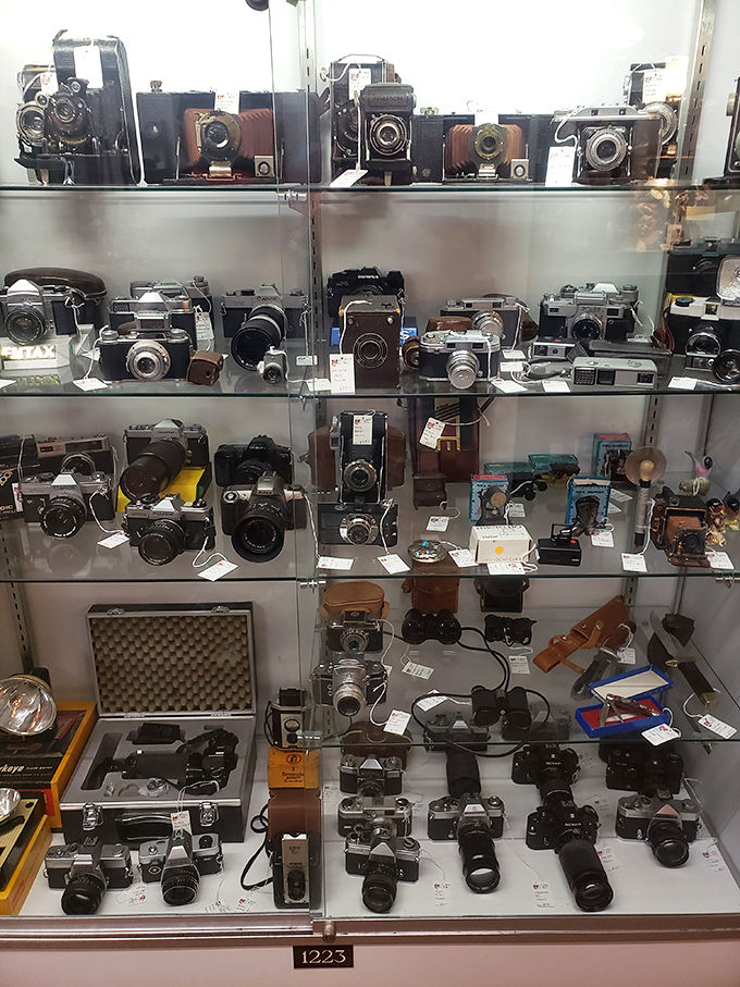 Vintage cameras that captured moments long before Instagram filters. Each one a mechanical time machine with a story in its lens.