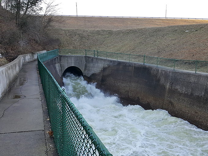 The controlled chaos of rushing water&mdash;hypnotic, powerful, and surprisingly soothing. Nature's white noise machine working overtime.