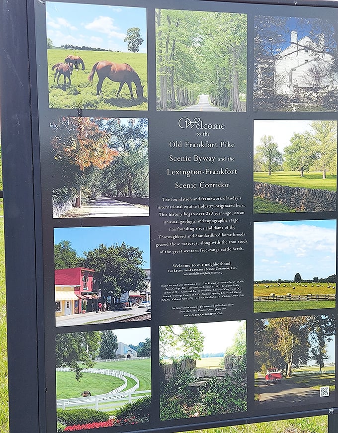 The welcome sign that understates the experience—like calling the Grand Canyon "a pretty big hole" or Paris "a nice place to visit."