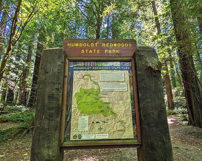 The park entrance promises adventures beyond the sign. This wooden gateway marks the boundary between ordinary life and extraordinary natural wonder.