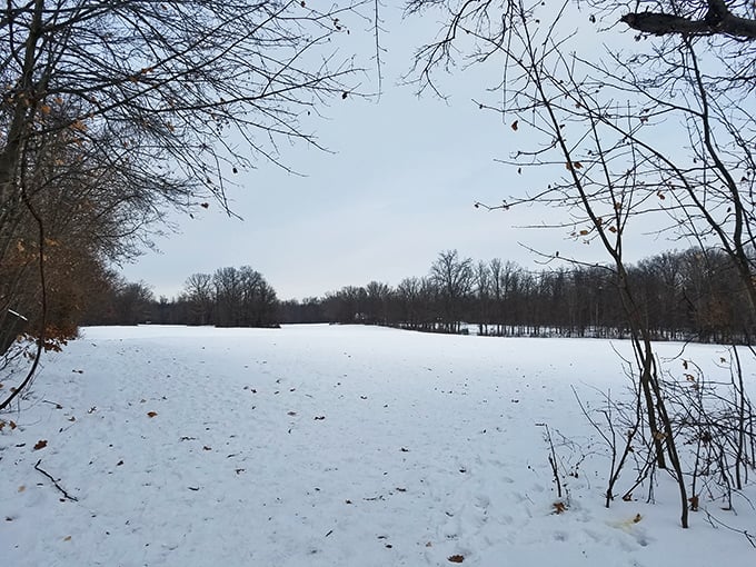 Winter's quiet blanket transforms familiar landscapes into something magical, like stepping through the back of a wardrobe.