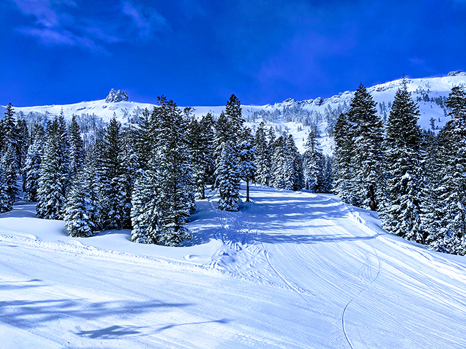 Pristine corduroy slopes under impossibly blue skies. The kind of perfect snow day that ruins you for all other winter experiences.