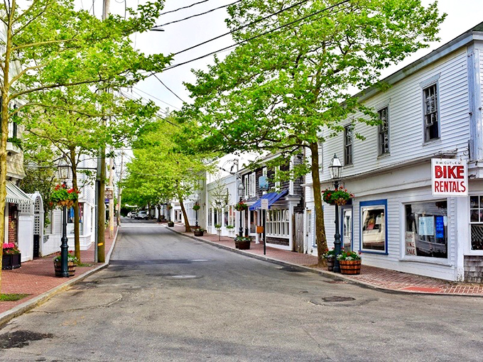 Tree-lined streets create perfect New England scenes where every house tells prosperity stories.
