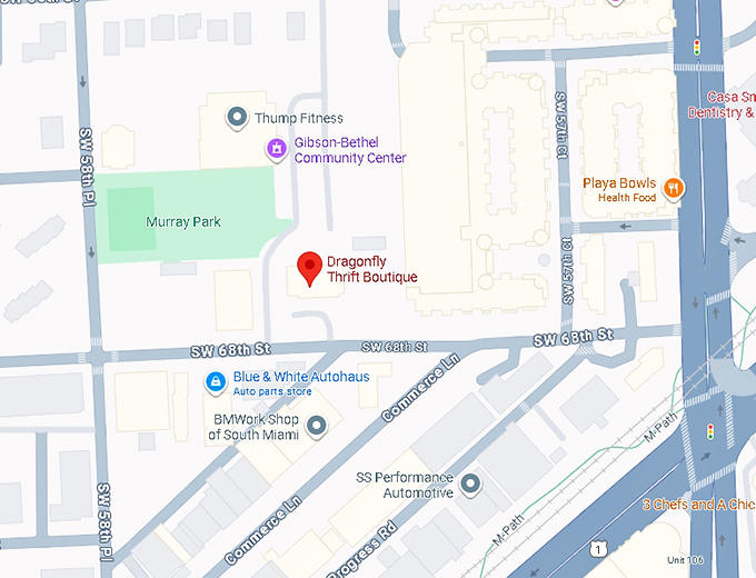 16. dragonfly thrift botique