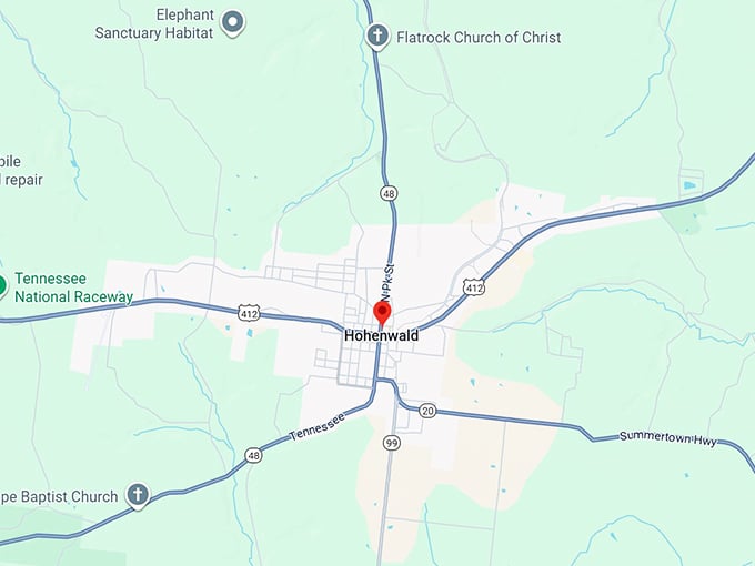 16. hohenwald tn map