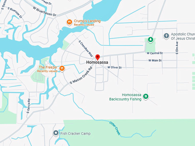 16. homosassa springs, florida map