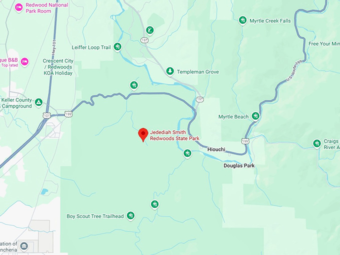 16. jedediah smith redwoods state park map