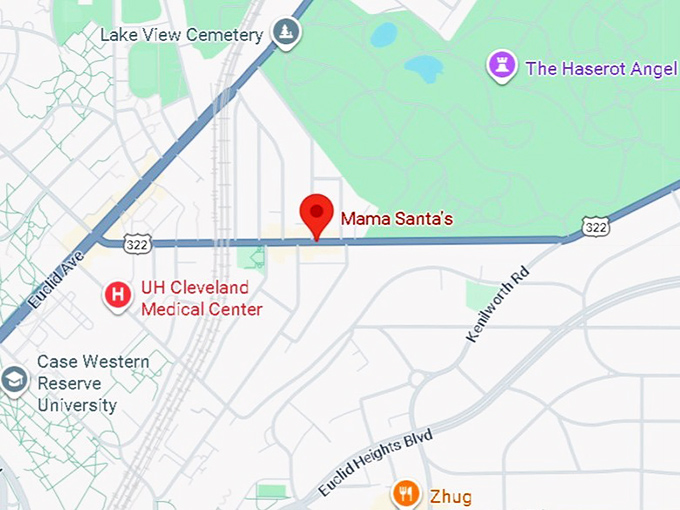 16. mama santa's map