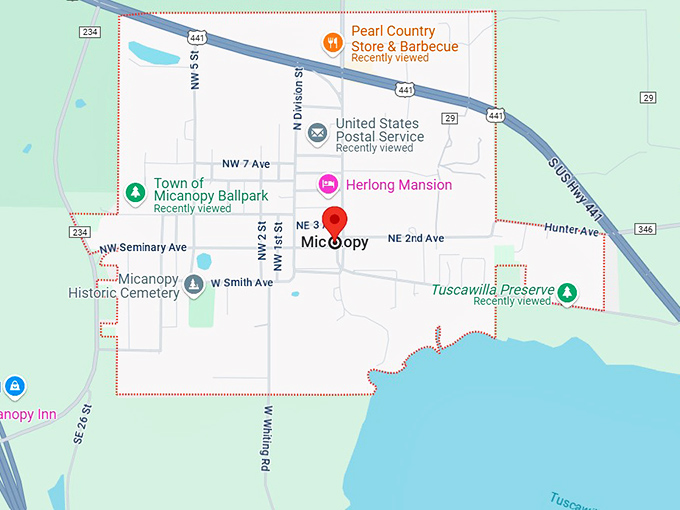 16. micanopy, fl map