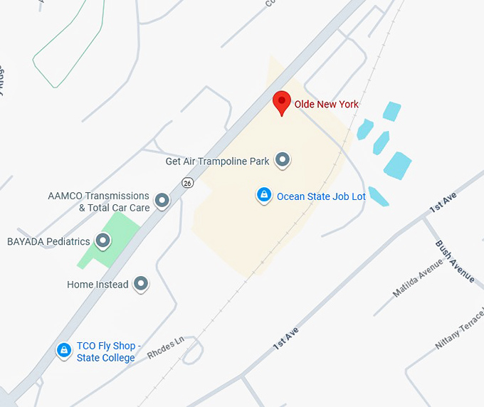 16. olde new york map