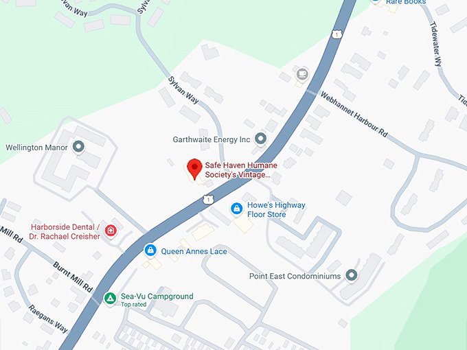 16. safe haven humane society's vintage,thrift, antiques shop map
