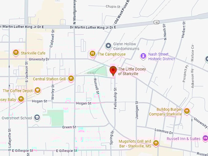 16. the little dooey of starkville map