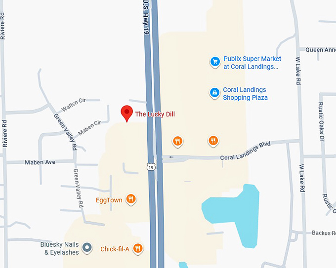 16. the lucky dill map