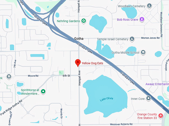 16. yellow dog eats map
