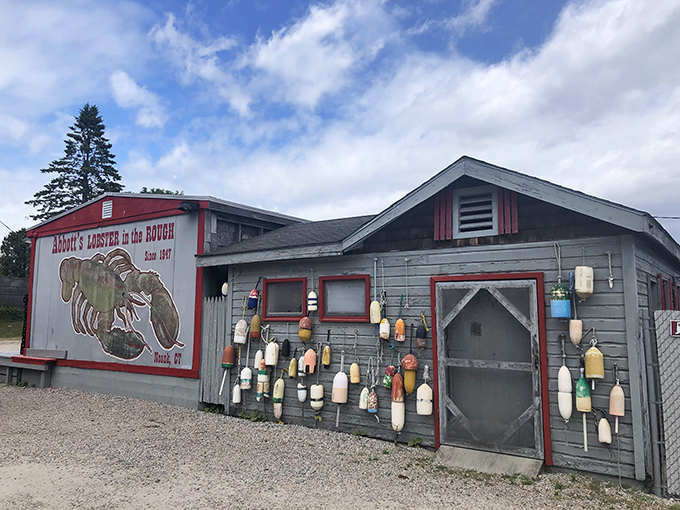 Abbott's iconic weathered shack with colorful buoys tells you immediately: serious lobster business happens here.