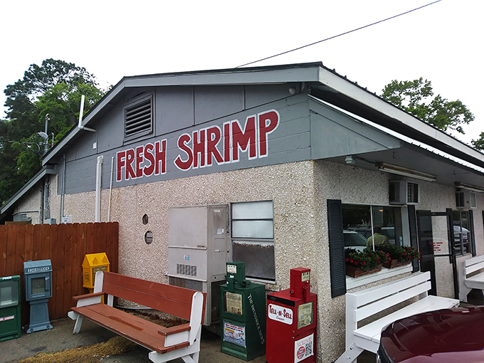 Sometimes the best treasures hide behind the simplest facades - this unassuming gem proves it perfectly.