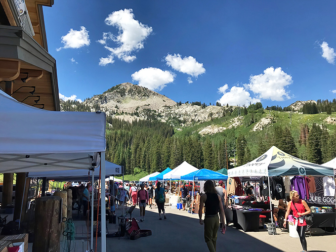 Mountain views and treasure hunting? Big Cottonwood Canyon Flea Market offers the ultimate backdrop for bargain hunters seeking adventure.