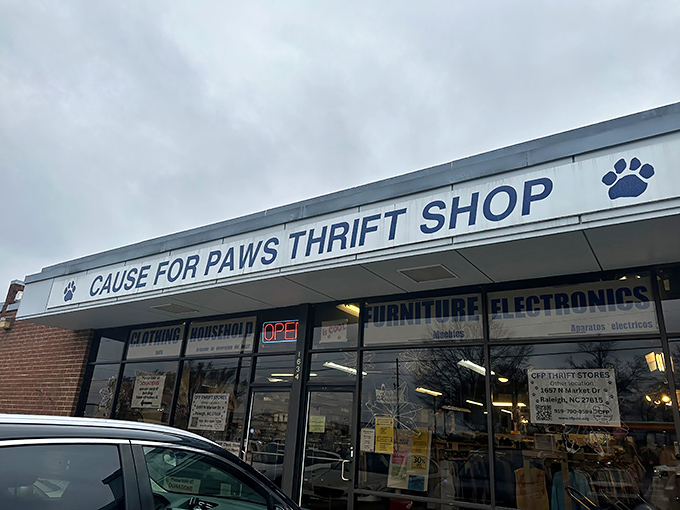 Look at that storefront - Cause for Paws proves that helping animals and finding treasures go perfectly together. 