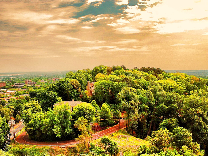 Cedar Bluff's tree-lined streets whisper stories of simpler times when neighbors actually knew each other's names.