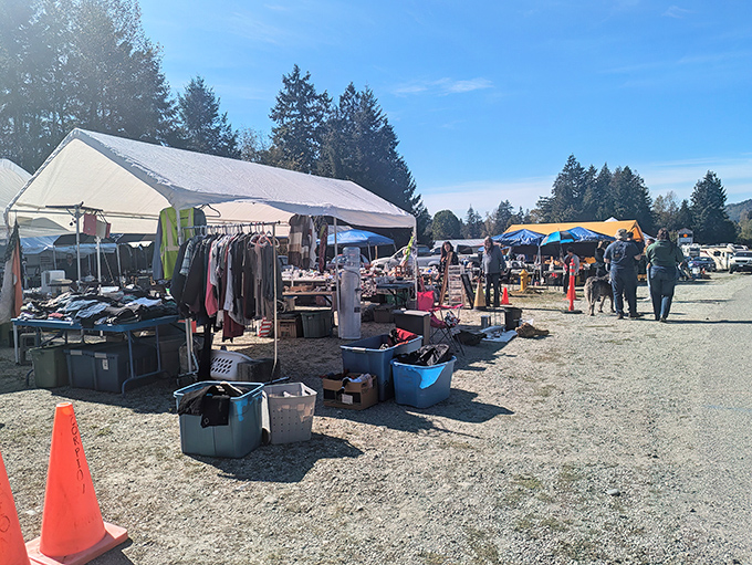 Treasure hunters unite! This gravel lot transforms weekends into bargain-seeking adventures under mountain skies.