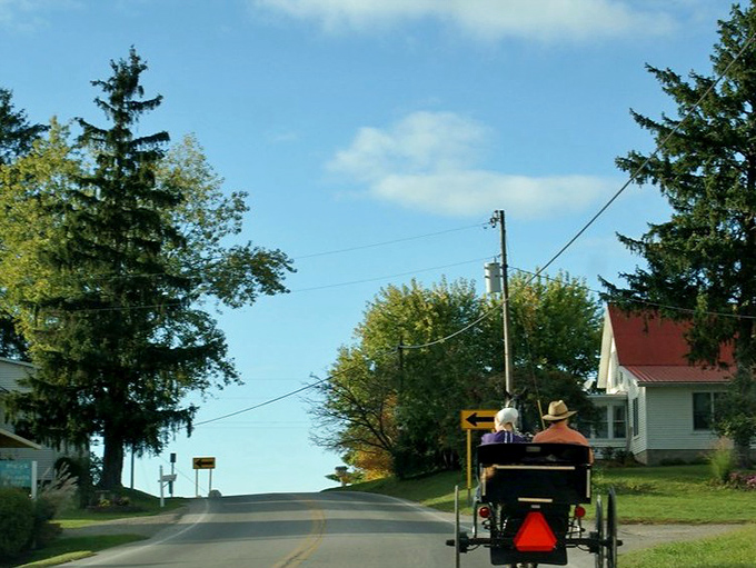 Horse-drawn buggies navigate country roads like they're conducting a masterclass in slow living.