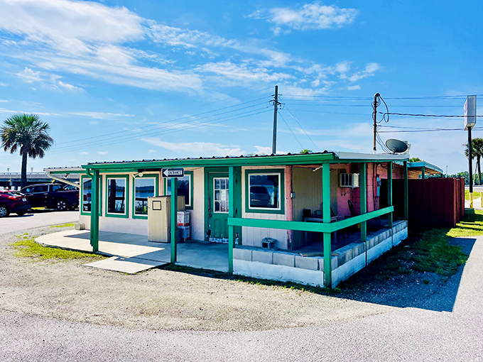 Don't judge this seafood book by its mint-green cover! Chowder Ted's modest exterior hides a treasure trove of maritime delights that would make Neptune himself jealous.