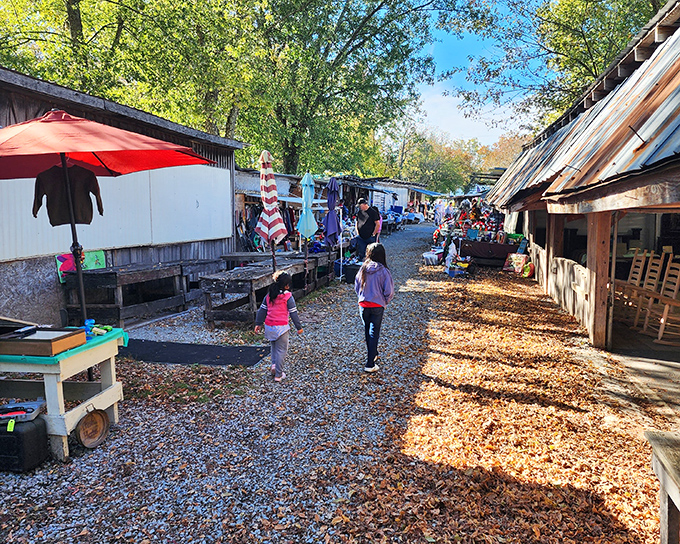 Autumn leaves carpet the pathways at Crossville Flea Market, where treasure hunting feels like a walk through a rustic wonderland.
