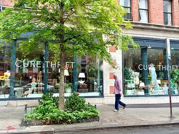 Cure Thrift: The storefront that stops you in your tracks. Lush greenery frames this treasure trove of vintage finds on Third Avenue.