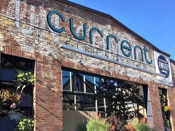 Current Fish & Oyster's brick facade whispers "industrial chic" while promising oceanic treasures inside.