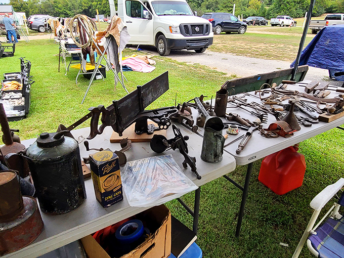 1a. dog days flea market (ardmore)