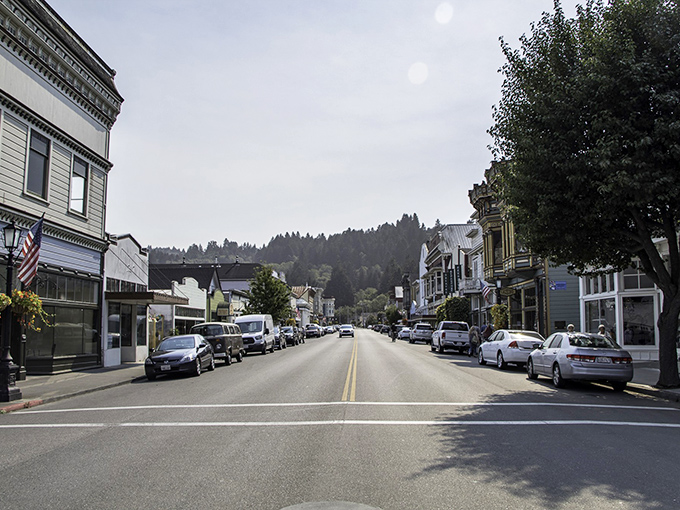 Ferndale's main street looks like a movie set come to life, with Victorian buildings that transport you straight back to the 1800s.