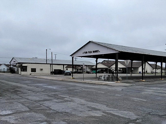 The covered pavilion beckons like a treasure hunter's paradise, promising deals that'll make your wallet smile.