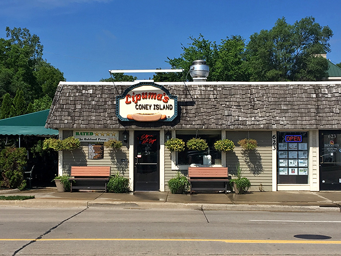 Sometimes the best treasures hide behind the most unassuming facades - like this charming coney island gem.