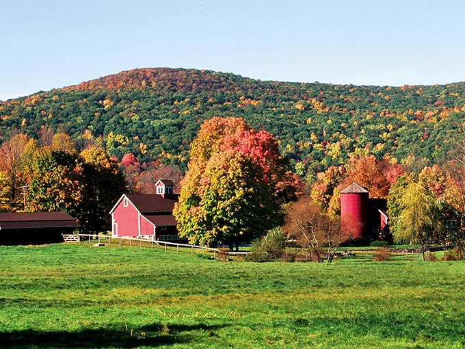 Fall in Litchfield looks like Norman Rockwell decided to paint Connecticut's countryside dreams.