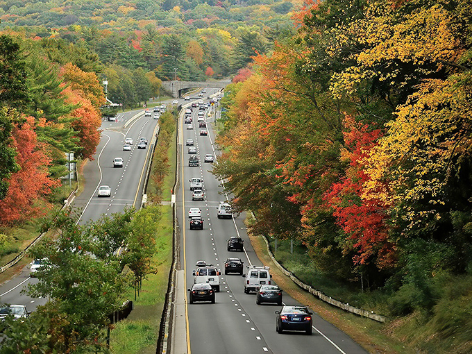 Nature's autumn fashion show frames the Merritt Parkway! Like driving through a living postcard where trees compete for "Best Dressed" in the fall foliage Olympics.