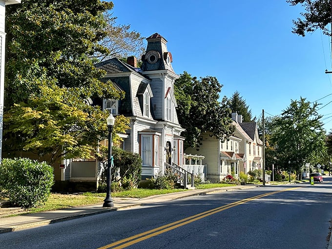 Milton's historic Victorian homes stand like elegant time travelers, their ornate details whispering stories from another century.